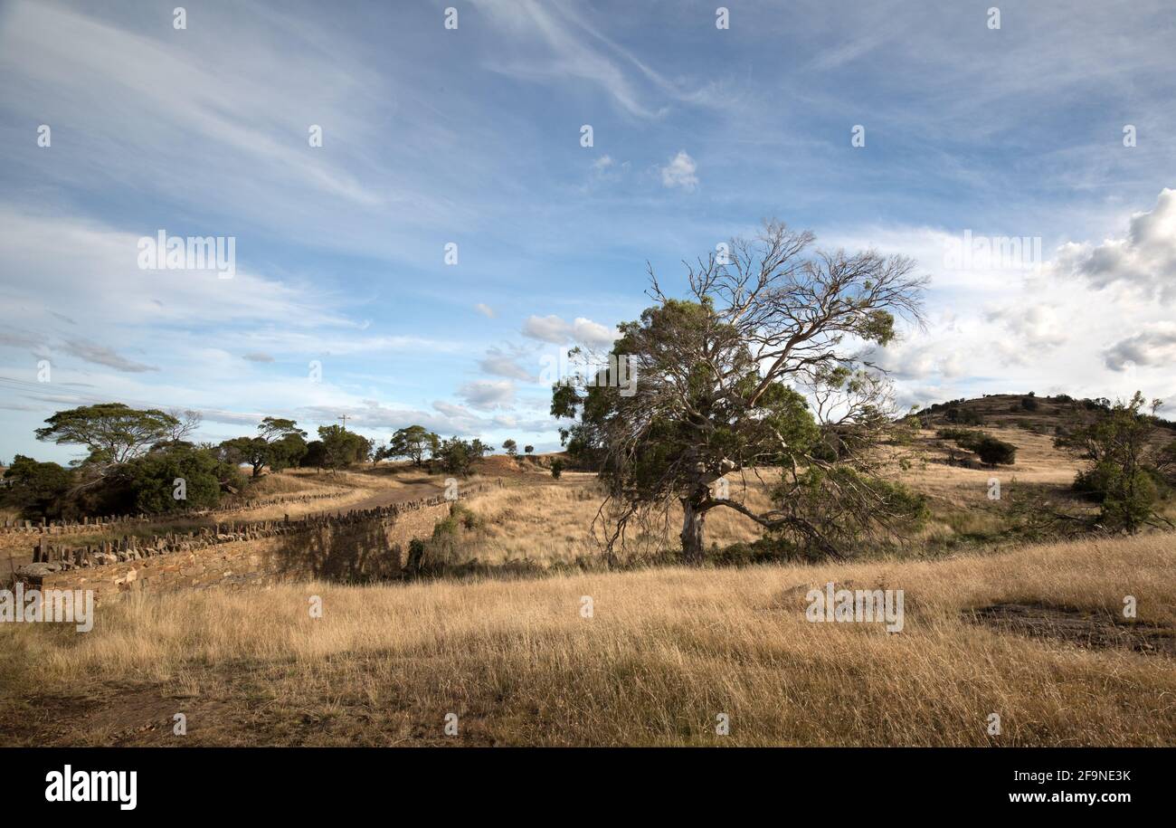 Australian settlers and convicts hi-res stock photography and images ...
