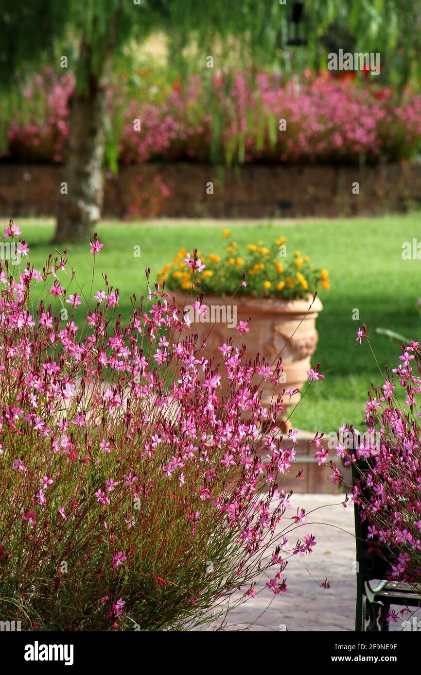 Giardino con prato e fiori Stock Photo - Alamy
