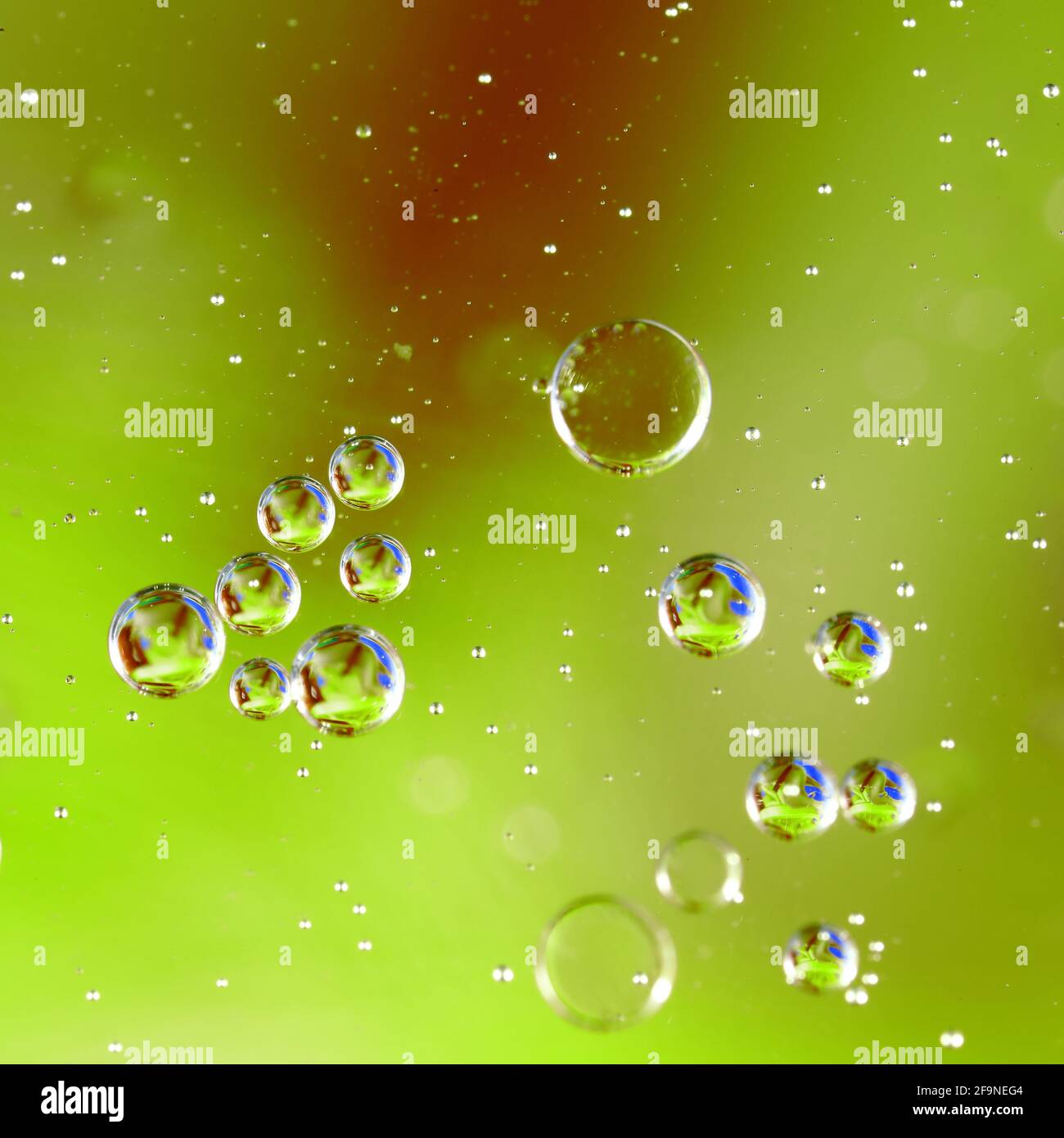 Colorful bubbles from oil hi-res stock photography and images - Alamy
