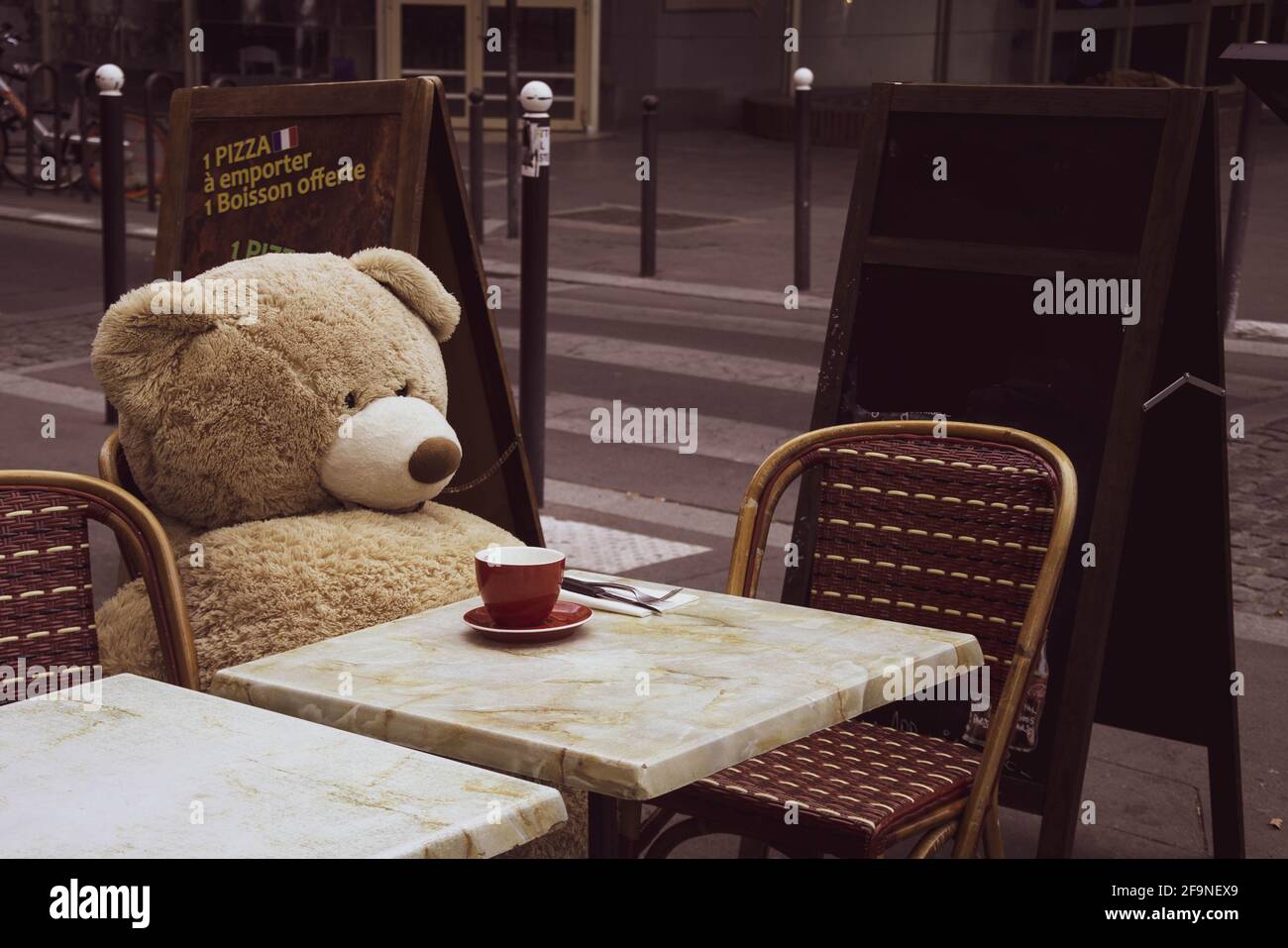 Teddy bear cafe hi-res stock photography and images - Alamy
