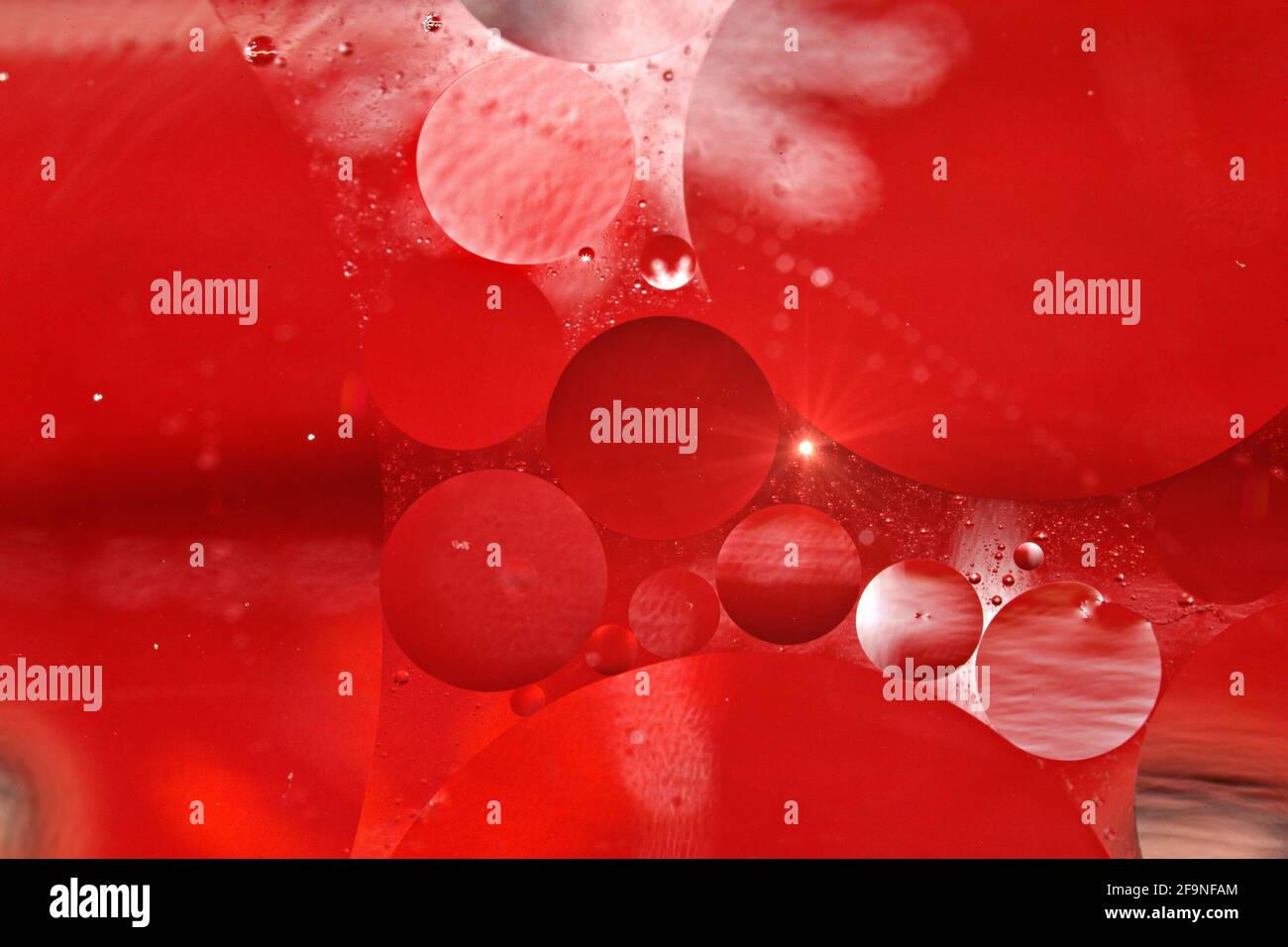 Colorful bubbles from oil hi-res stock photography and images - Alamy