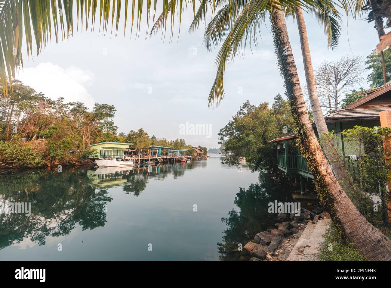 Coconut tree walkway at the sea Coconut trees on the canal Stock Photo ...