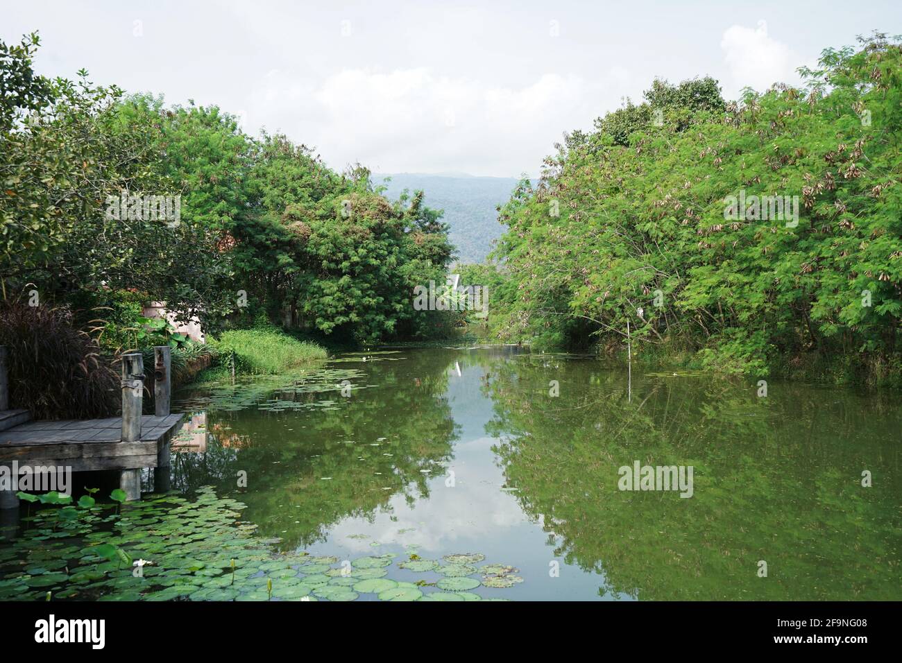 Natural landscape of lake view with green mountain park and cloudy sky ...