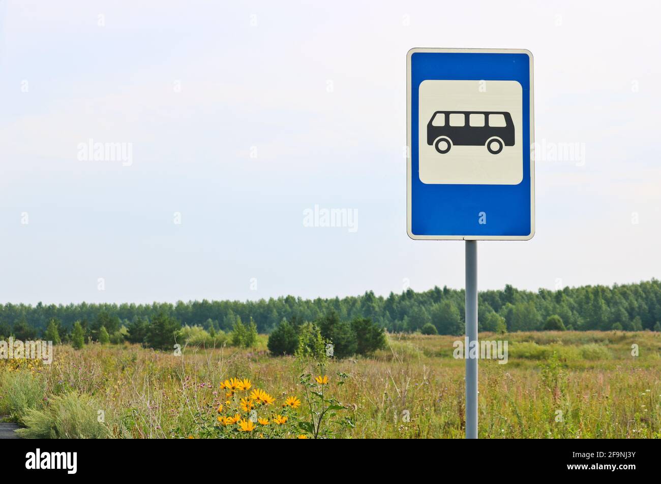 Road sign Public transport stop on the background of the summer ...