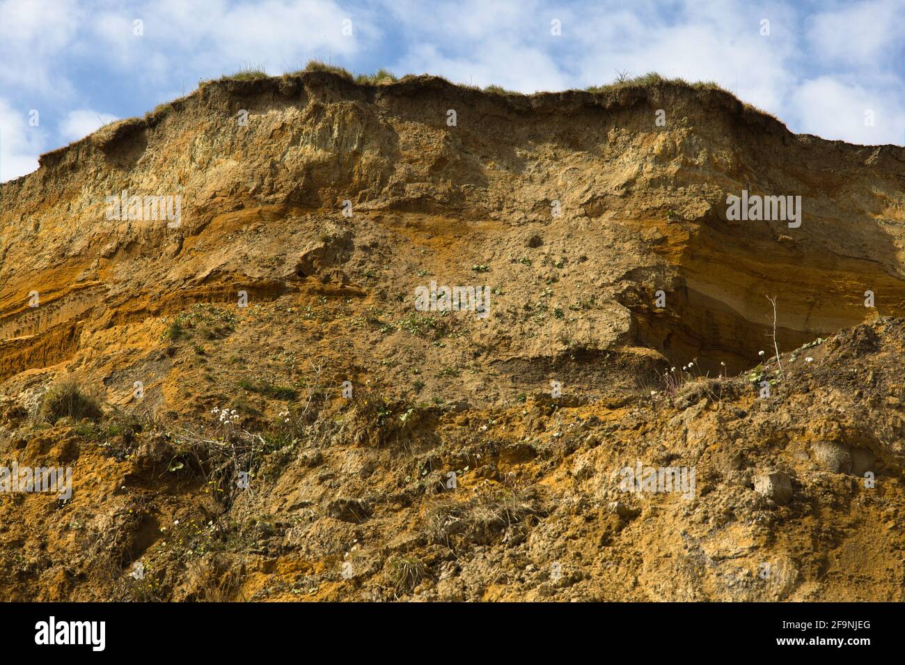 Geological cliff structure - view of part of Britain's Jurassic coast ...