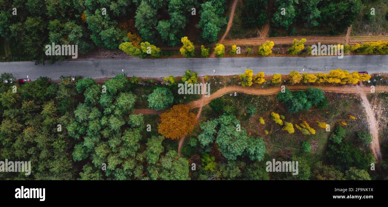 Scenic aerial view of a winding trekking path in a forest. Trekked path ...