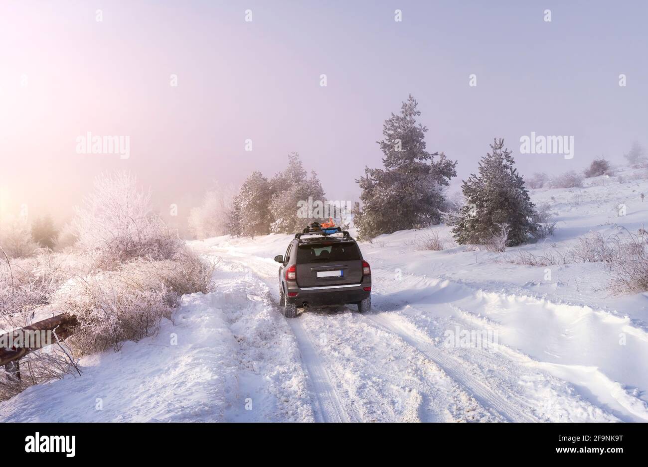 Car driving of snow country road. Frozen forest landscape while snowing ...
