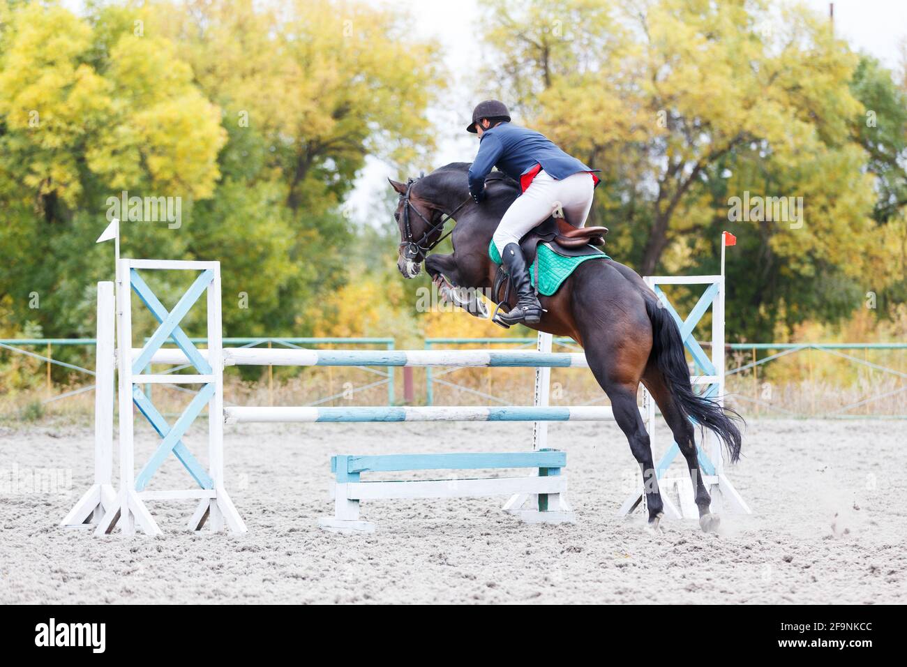 Young man jumps a horse on show jumping event Stock Photo - Alamy