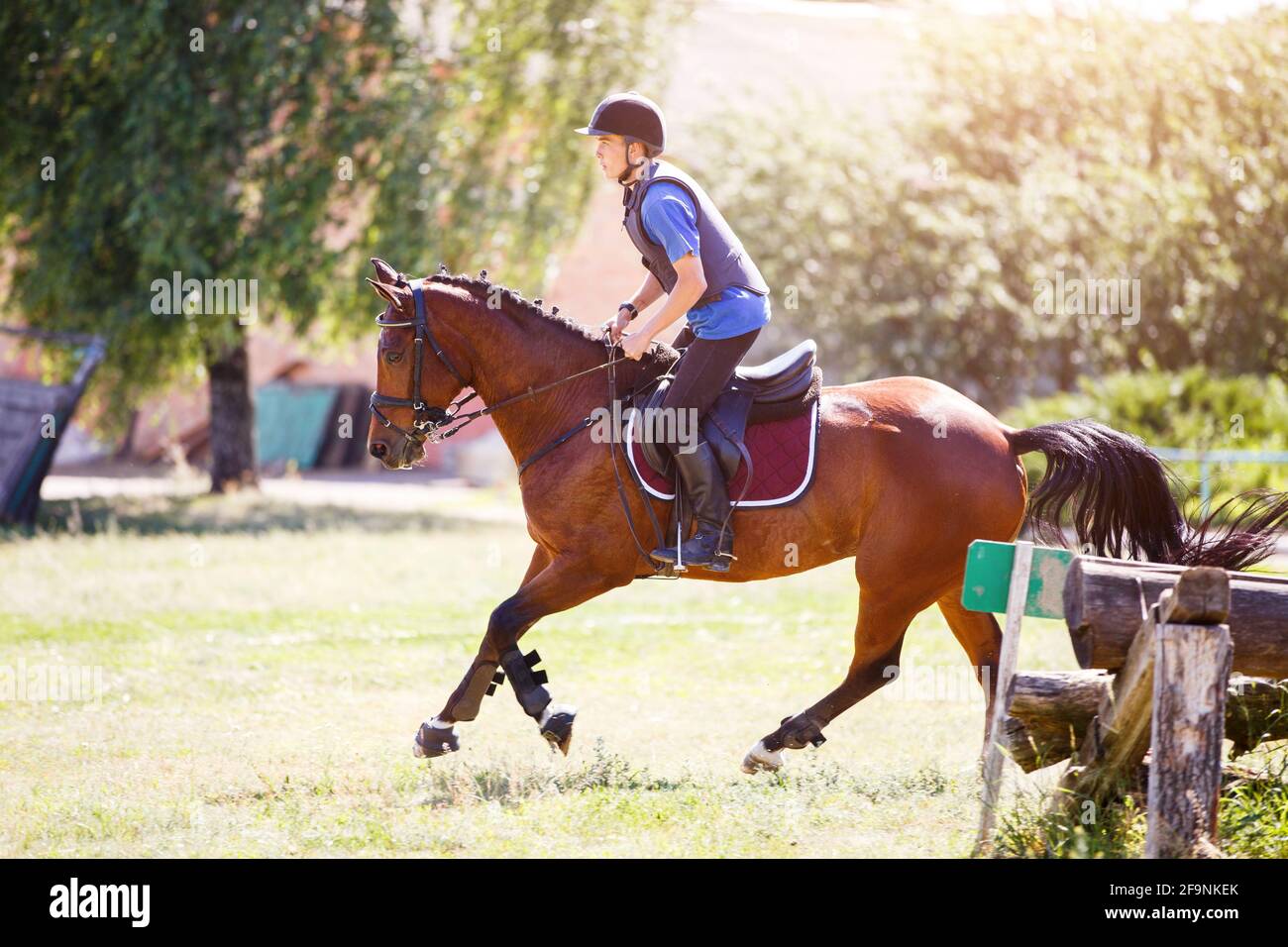 Young man riding horse on cross-country course Stock Photo - Alamy