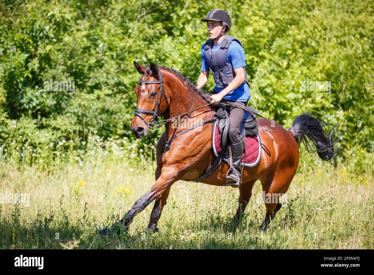 Man riding horse hi-res stock photography and images - Alamy