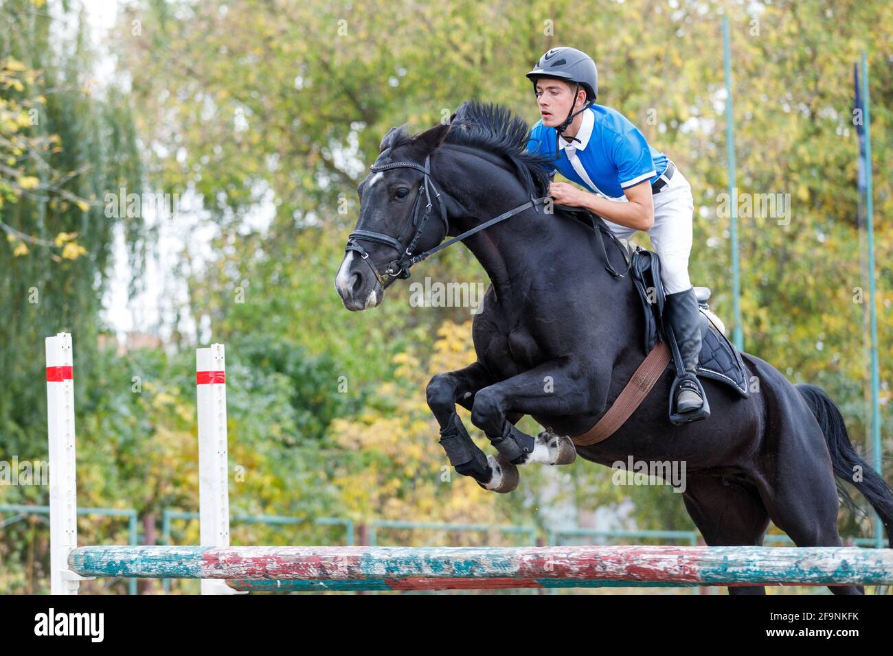 Young man jumps a horse on show jumping event Stock Photo - Alamy