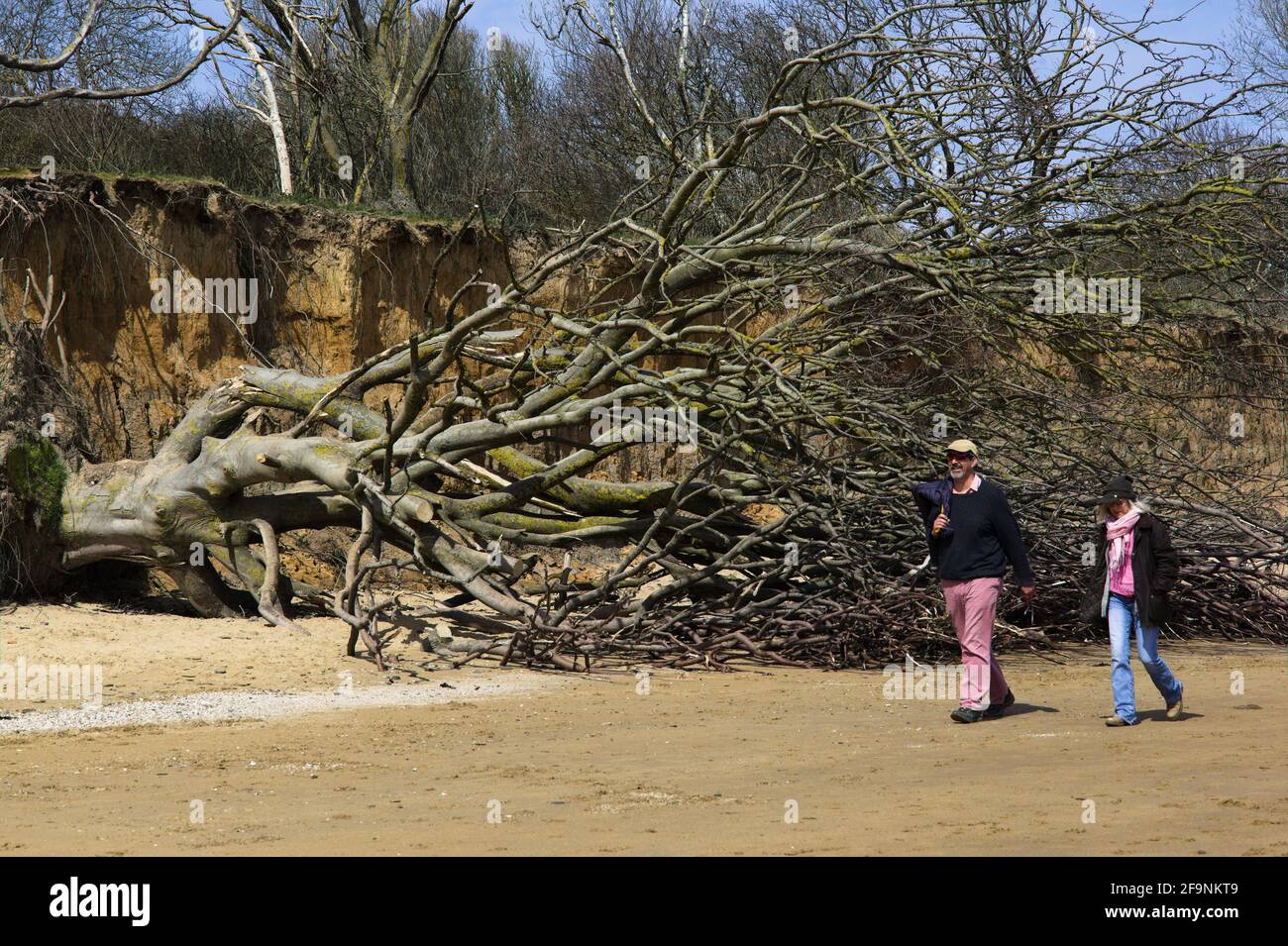 Essex Coastal Scene - View of a man and woman walking past a large ...