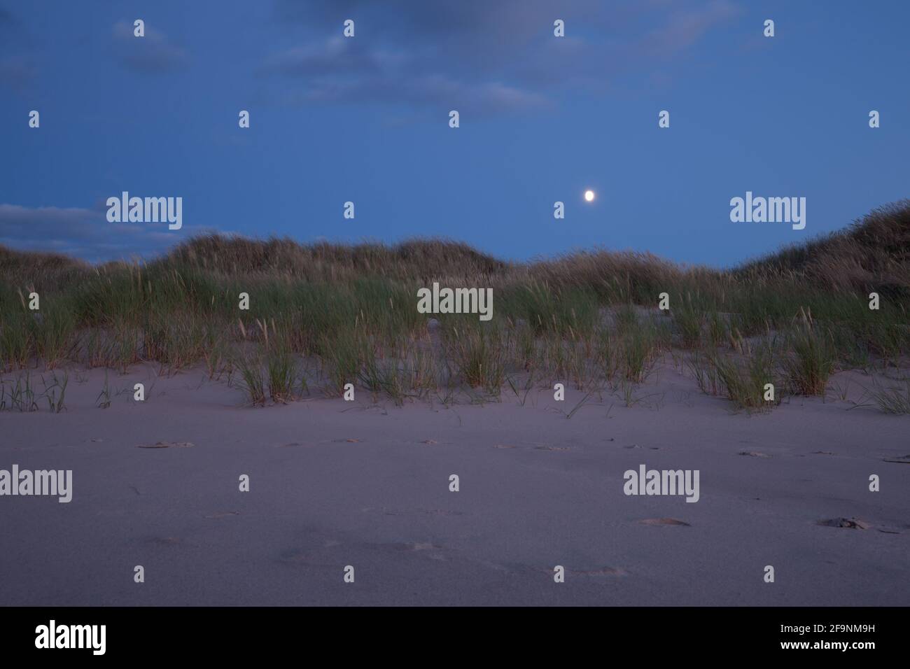 Sandy area vegetation hi-res stock photography and images - Alamy