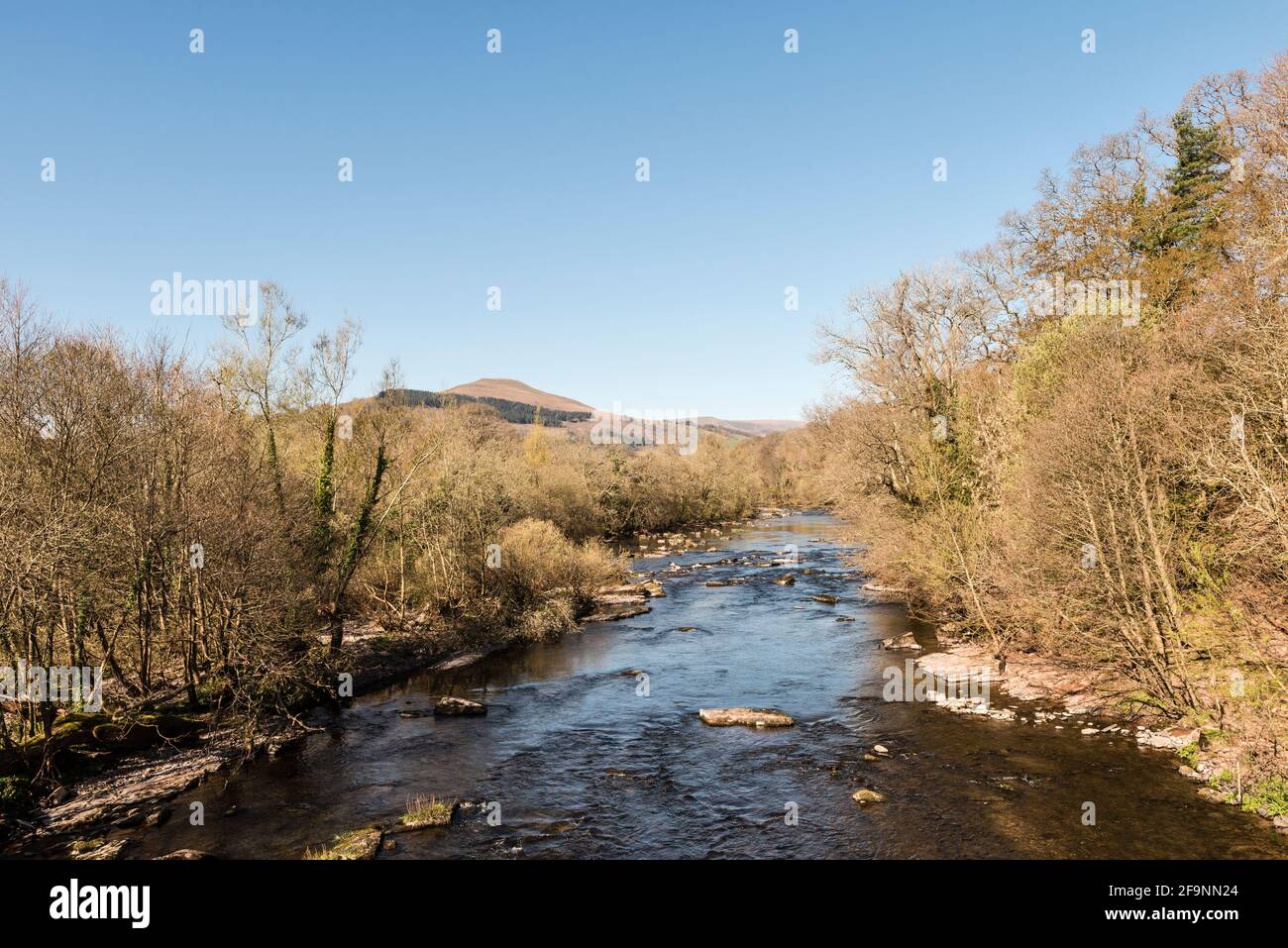 The River Usk at Llangynidr, Wales, UK, with a view of the summit of ...