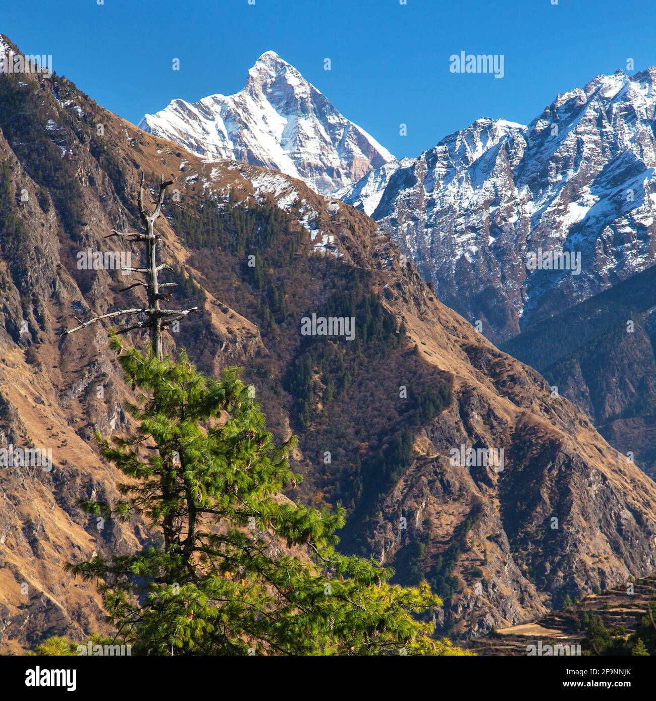 mount Nanda Devi, one of the best mounts in India Himalaya, seen from ...