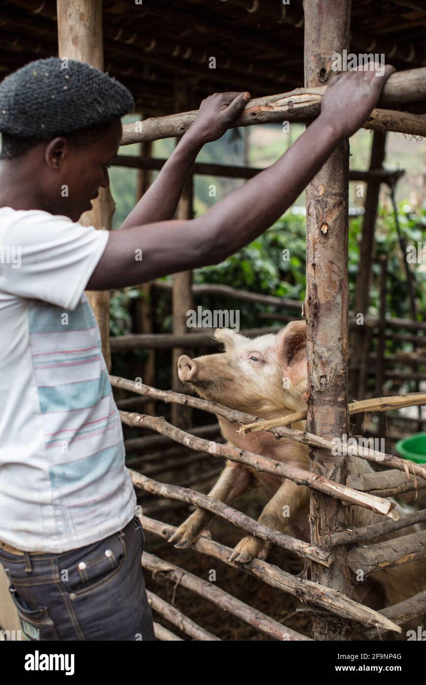 Traditional Pygmy Village, Kibira National Park, Burundi, Africa Stock ...