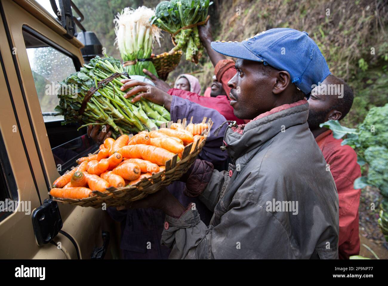 Traditional Pygmy Village, Kibira National Park, Burundi, Africa Stock ...