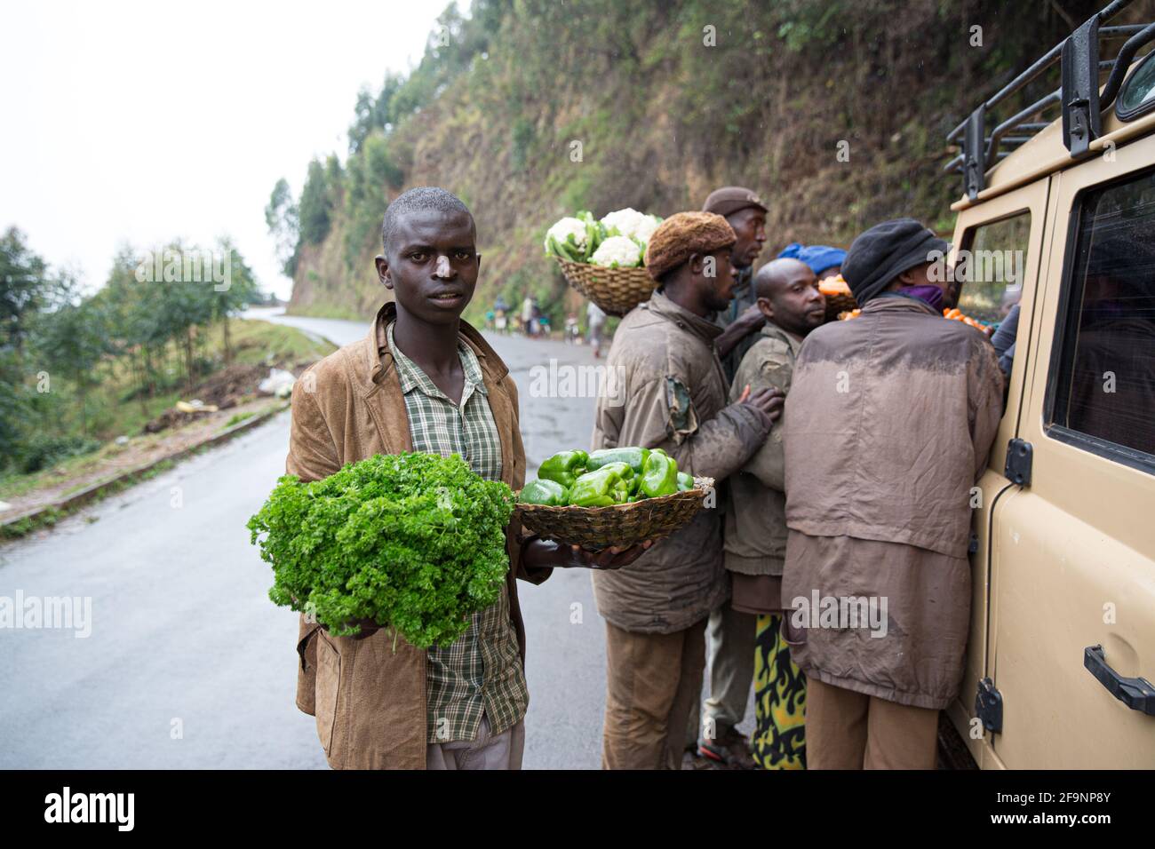 Traditional Pygmy Village, Kibira National Park, Burundi, Africa Stock ...