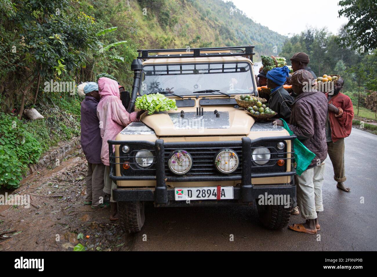 Traditional Pygmy Village, Kibira National Park, Burundi, Africa Stock ...