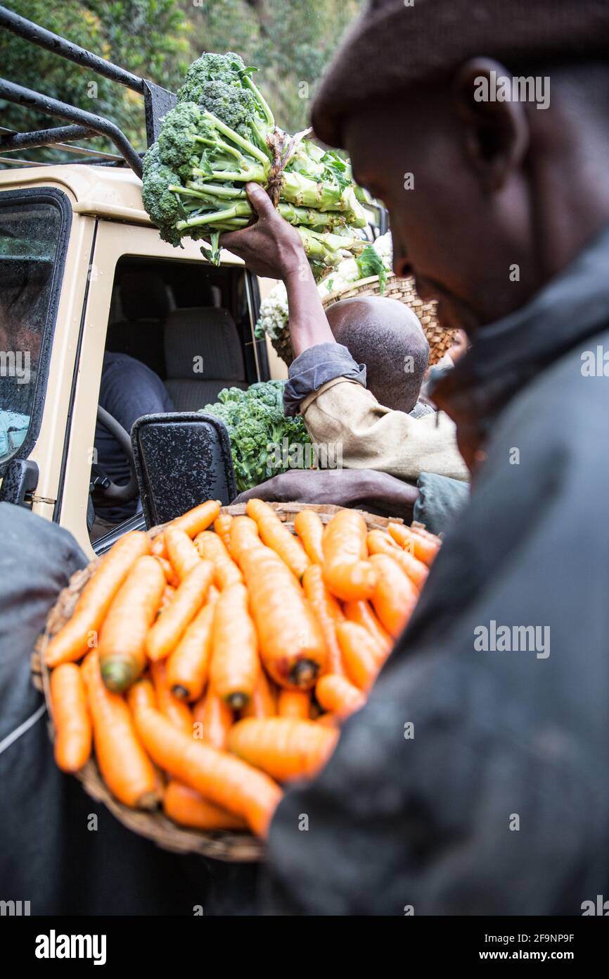 Traditional Pygmy Village, Kibira National Park, Burundi, Africa Stock ...