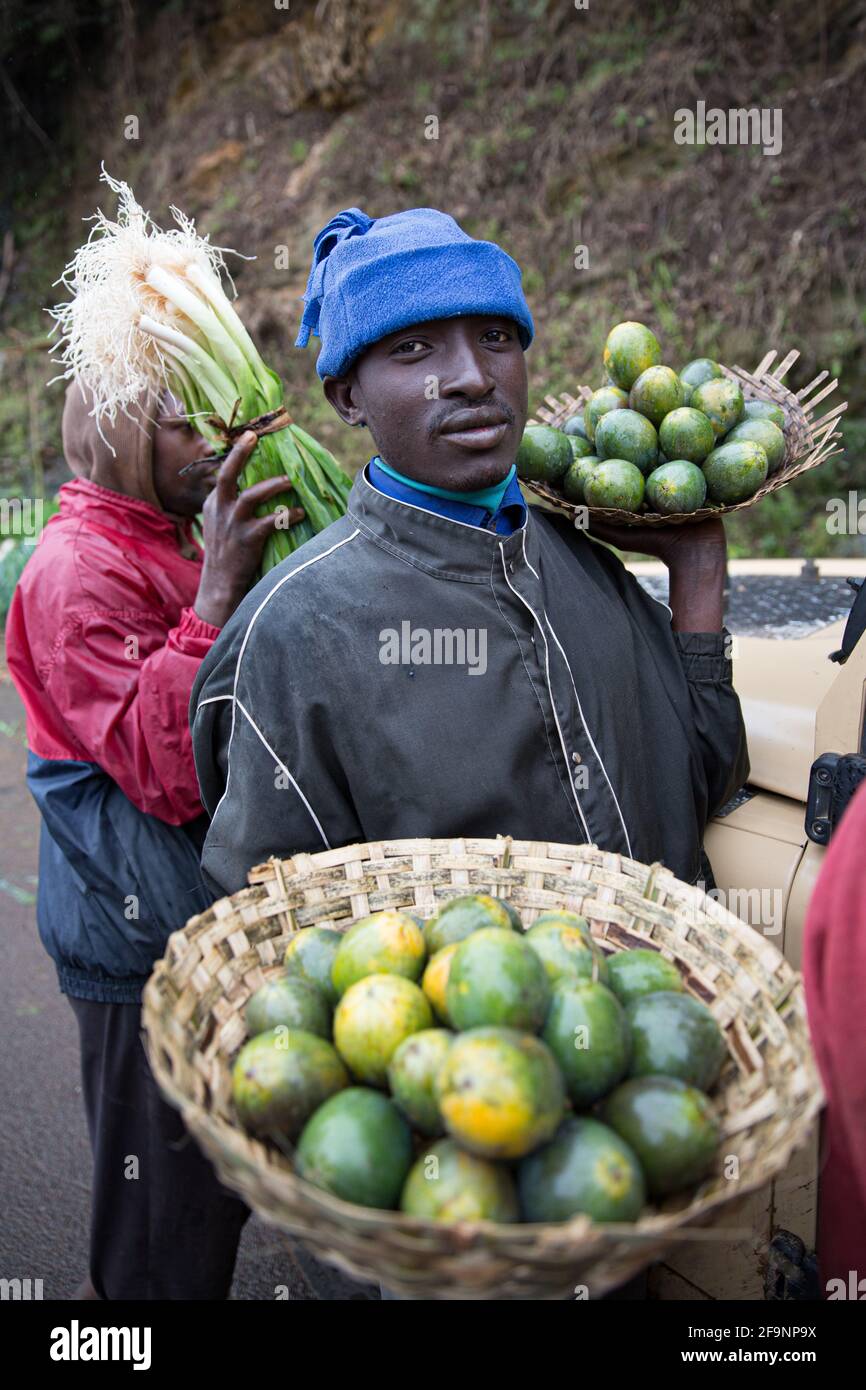 Traditional Pygmy Village, Kibira National Park, Burundi, Africa Stock ...