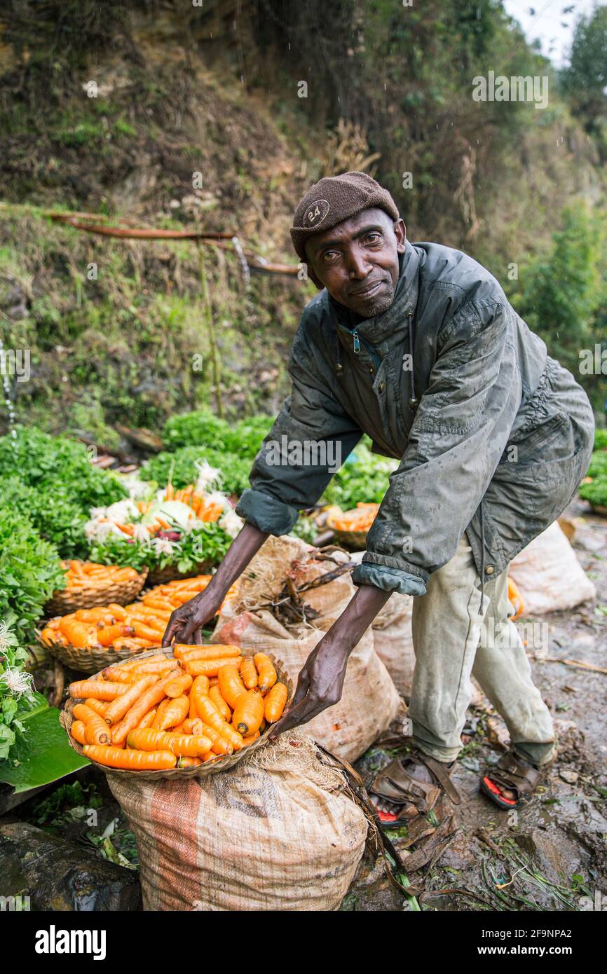 Traditional Pygmy Village, Kibira National Park, Burundi, Africa Stock ...