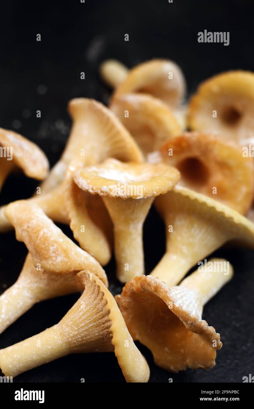 Close up pastry biscuits, cookies in mushroom shape with sugar powder ...