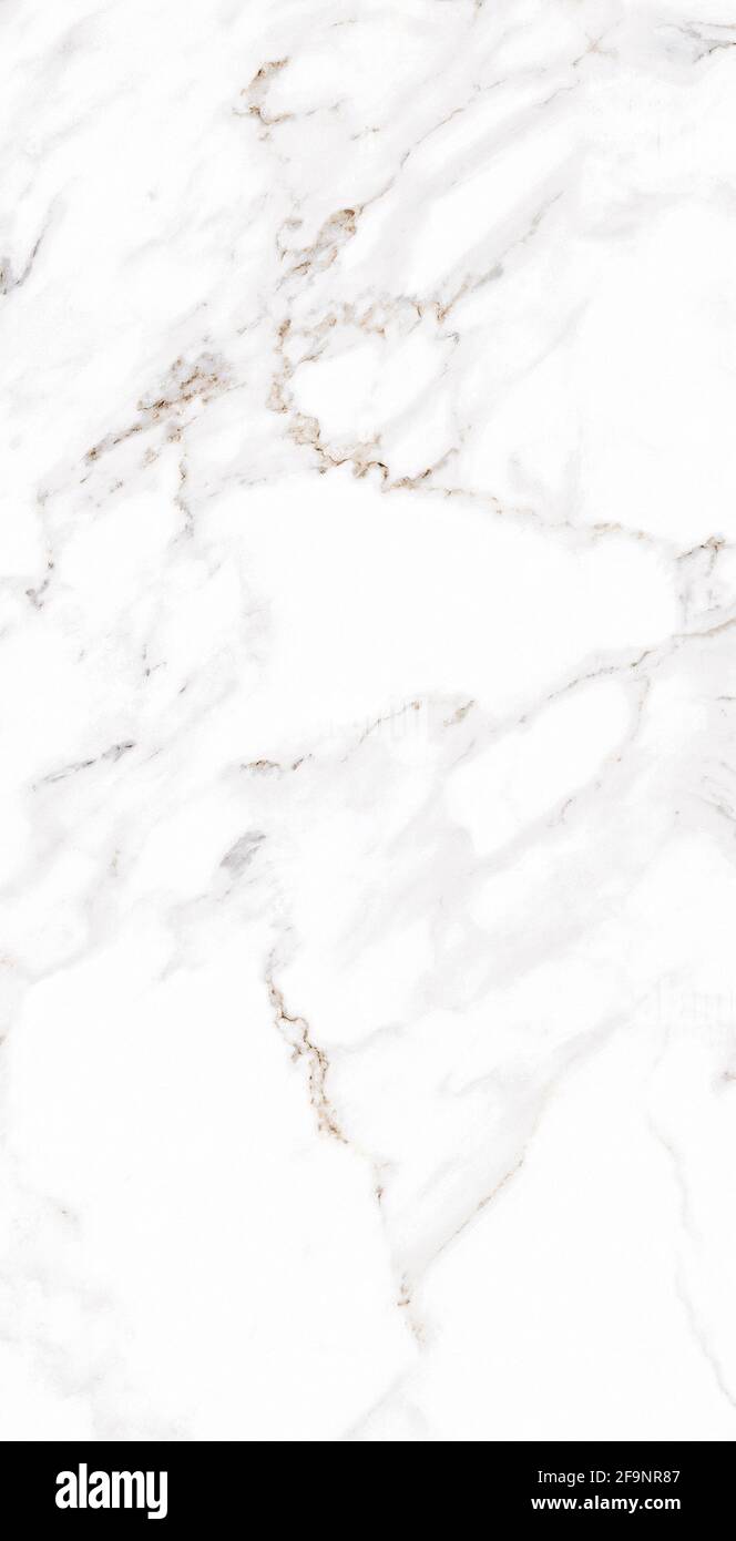 calacatta marble design with white base and dark veins natural marble ...