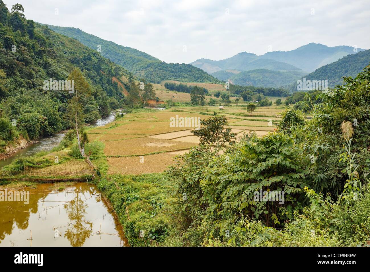 Laos Rice Fields High Resolution Stock Photography and Images - Alamy
