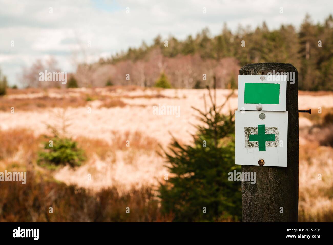 The High Fens, Hoge Venen, Belgium, Signal Van Botrange Stock Photo - Alamy