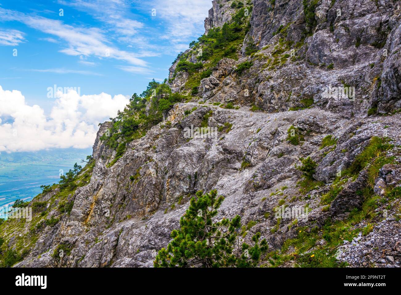 Detail of the fuerstensteig hiking trail in the principality of ...