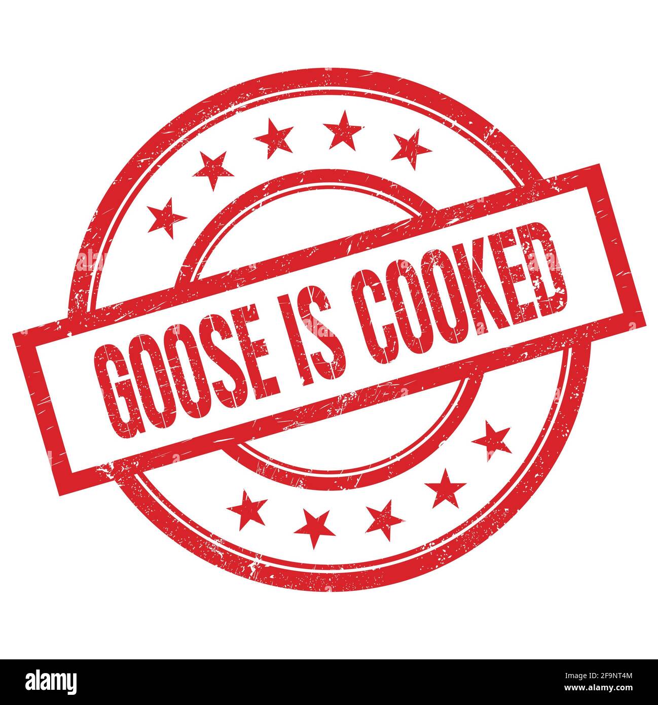 GOOSE IS COOKED text written on red round vintage rubber stamp Stock ...