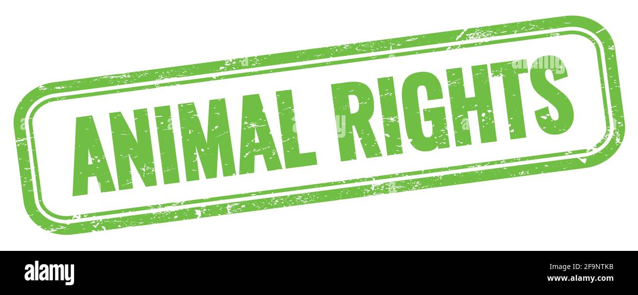 ANIMAL RIGHTS text on green grungy vintage rectangle stamp Stock Photo ...