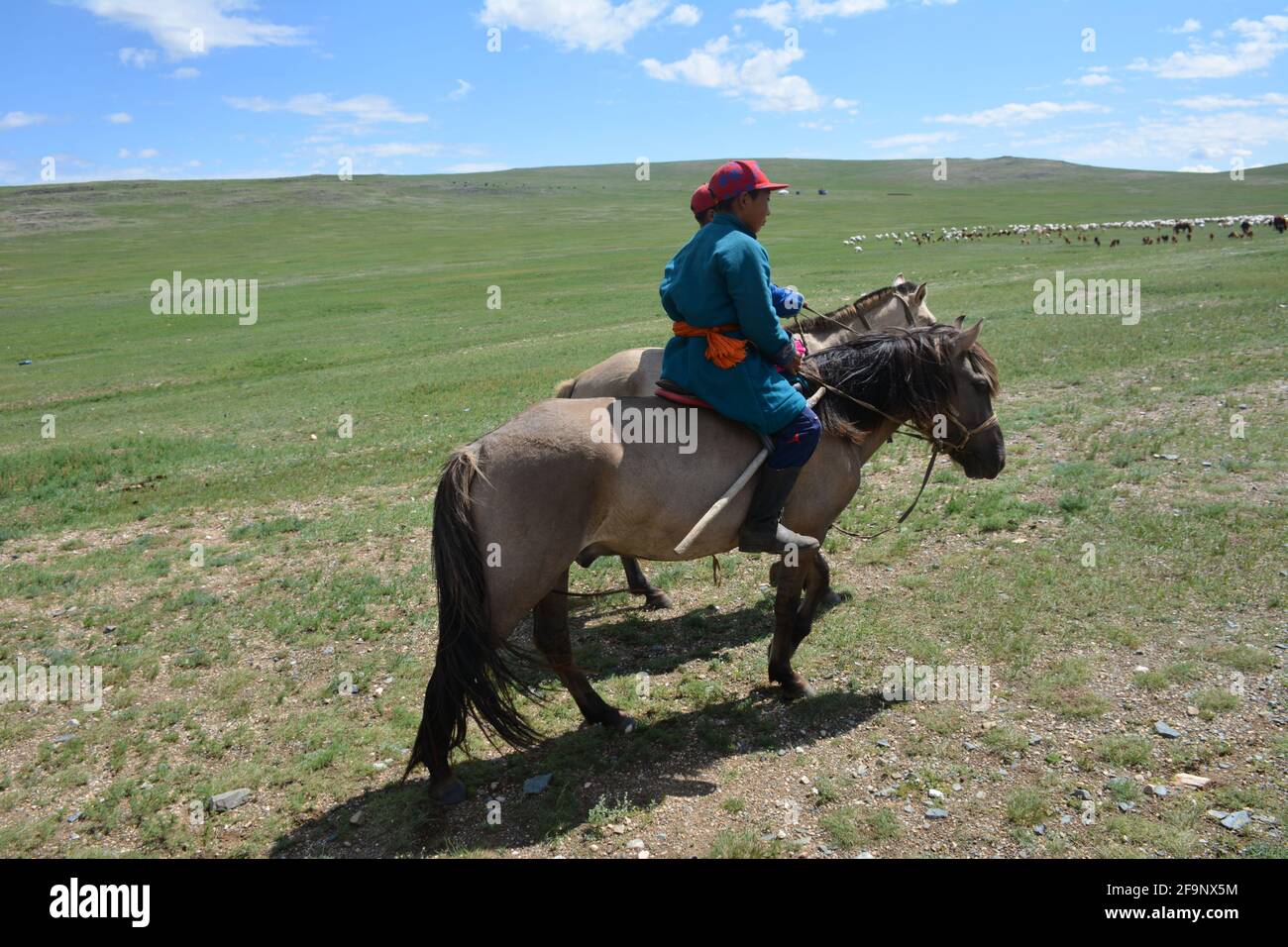 Child nomadic herders in traditional dress on horseback on the steppes ...