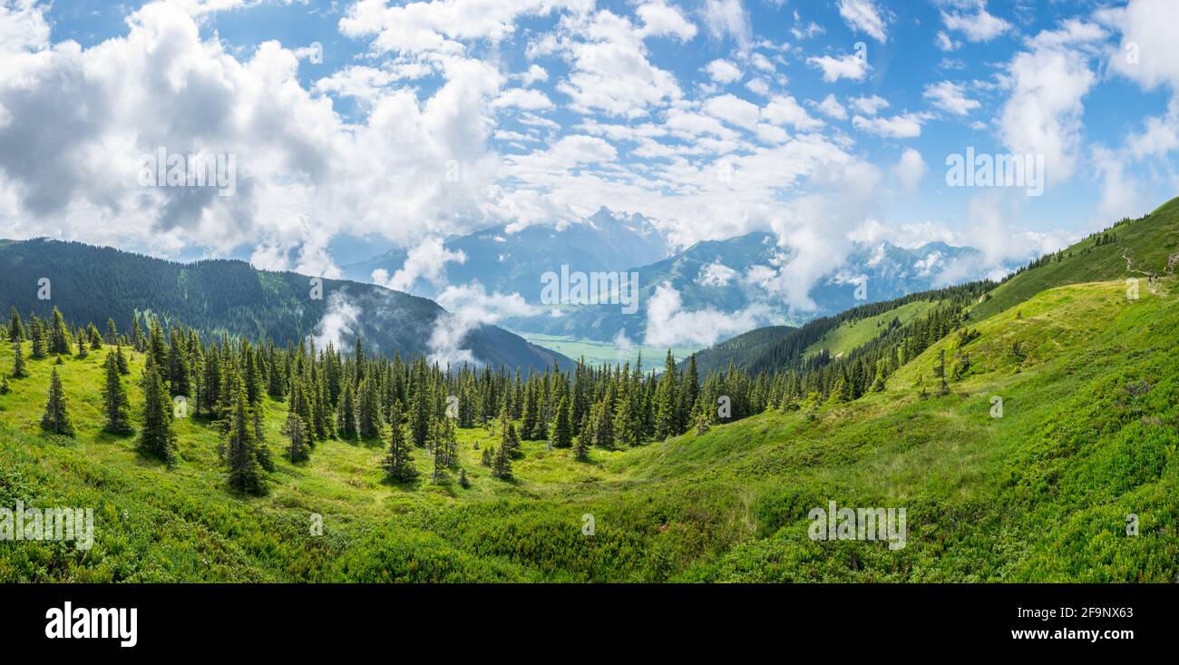 View of the alps along the famous hiking trail Pinzgauer spaziergang ...