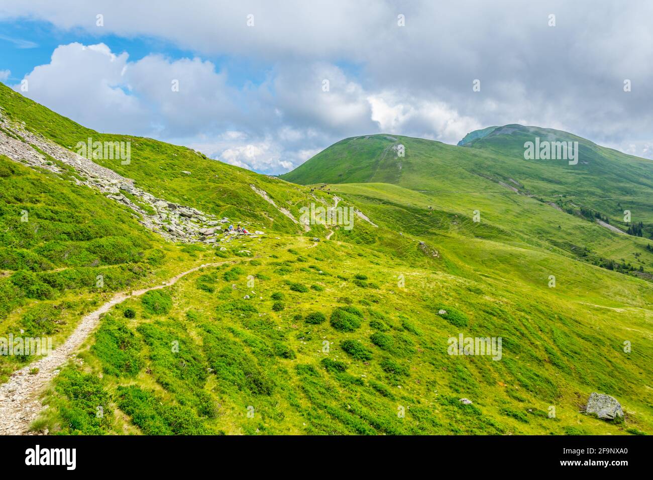 Pinzgauer spaziergang trail hi-res stock photography and images - Alamy