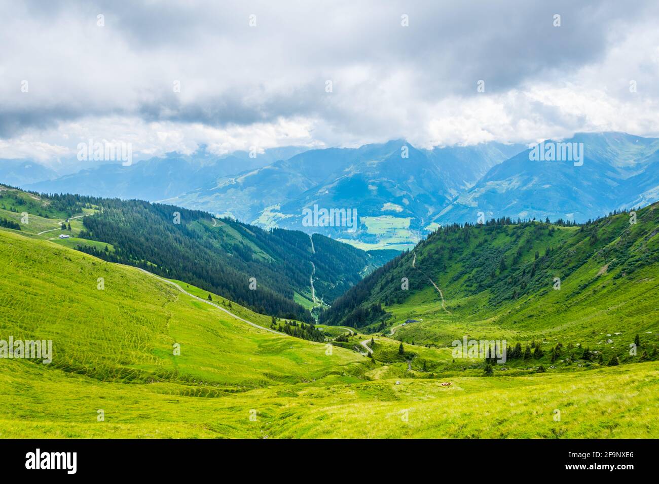 Pinzgauer spaziergang trail hi-res stock photography and images - Alamy