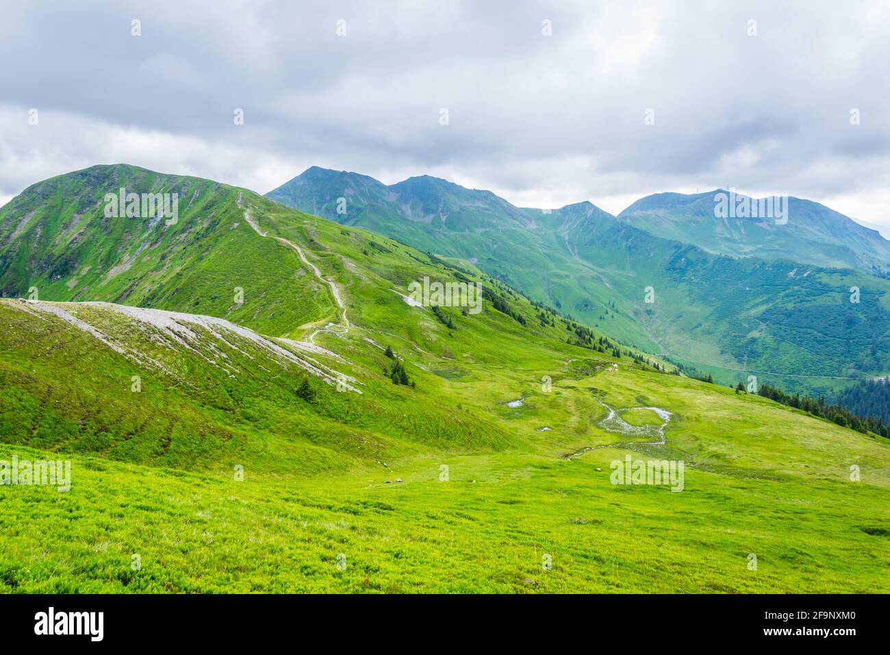 View of the the famous hiking trail Pinzgauer spaziergang in the alps ...