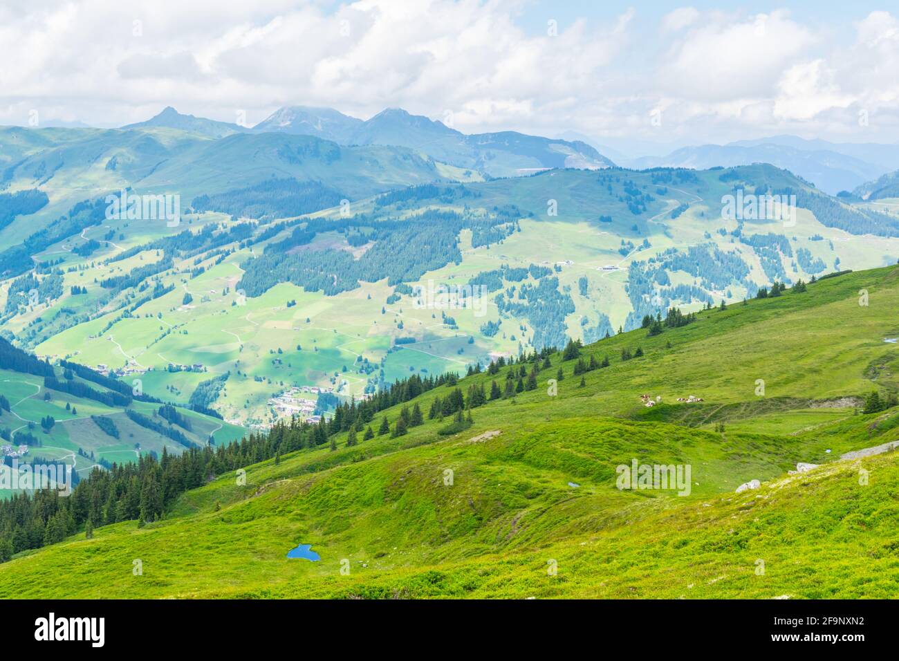 View of the alps along the famous hiking trail Pinzgauer spaziergang ...
