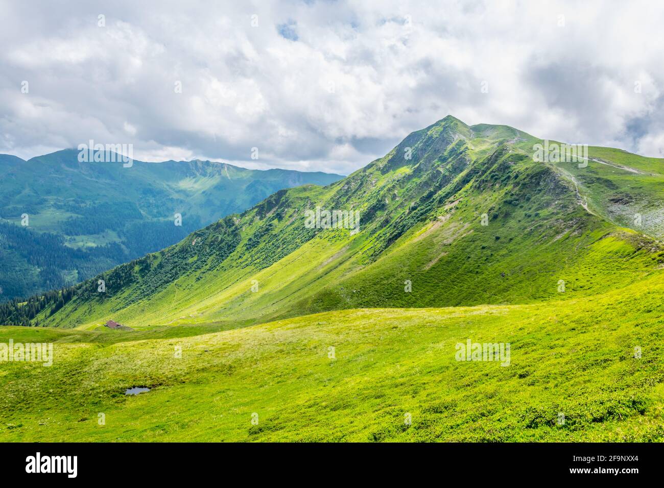 Pinzgauer spaziergang trail hi-res stock photography and images - Alamy
