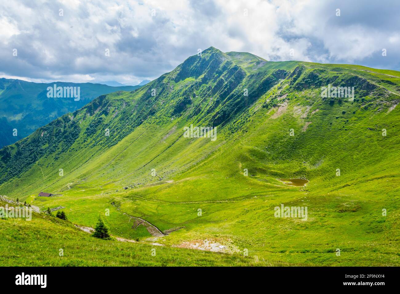 Pinzgauer spaziergang trail hi-res stock photography and images - Alamy