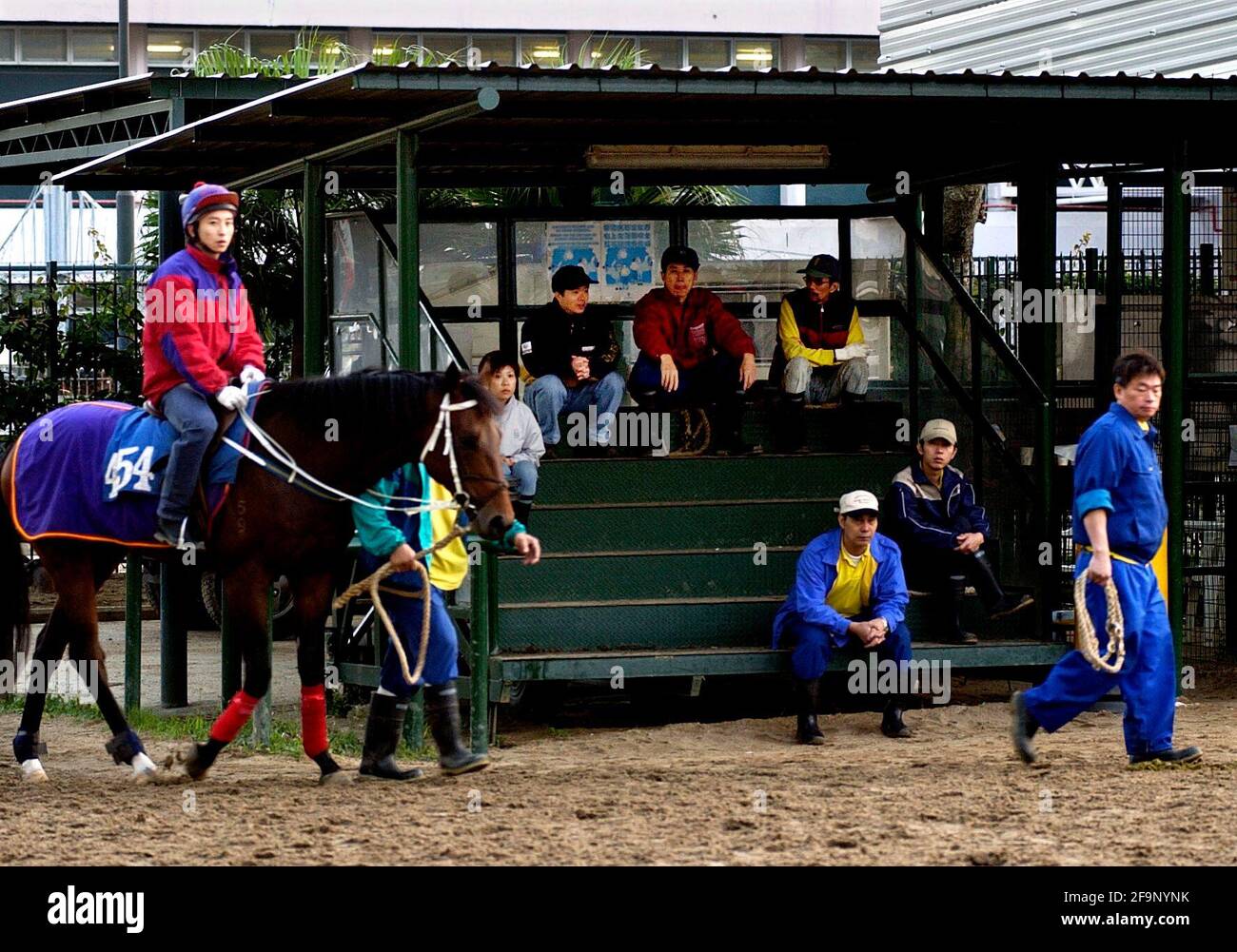 HONK KONG INTERNATIONAL RACES AT SHAR TIN MORNING GALLOPS 13/12/2002 ...