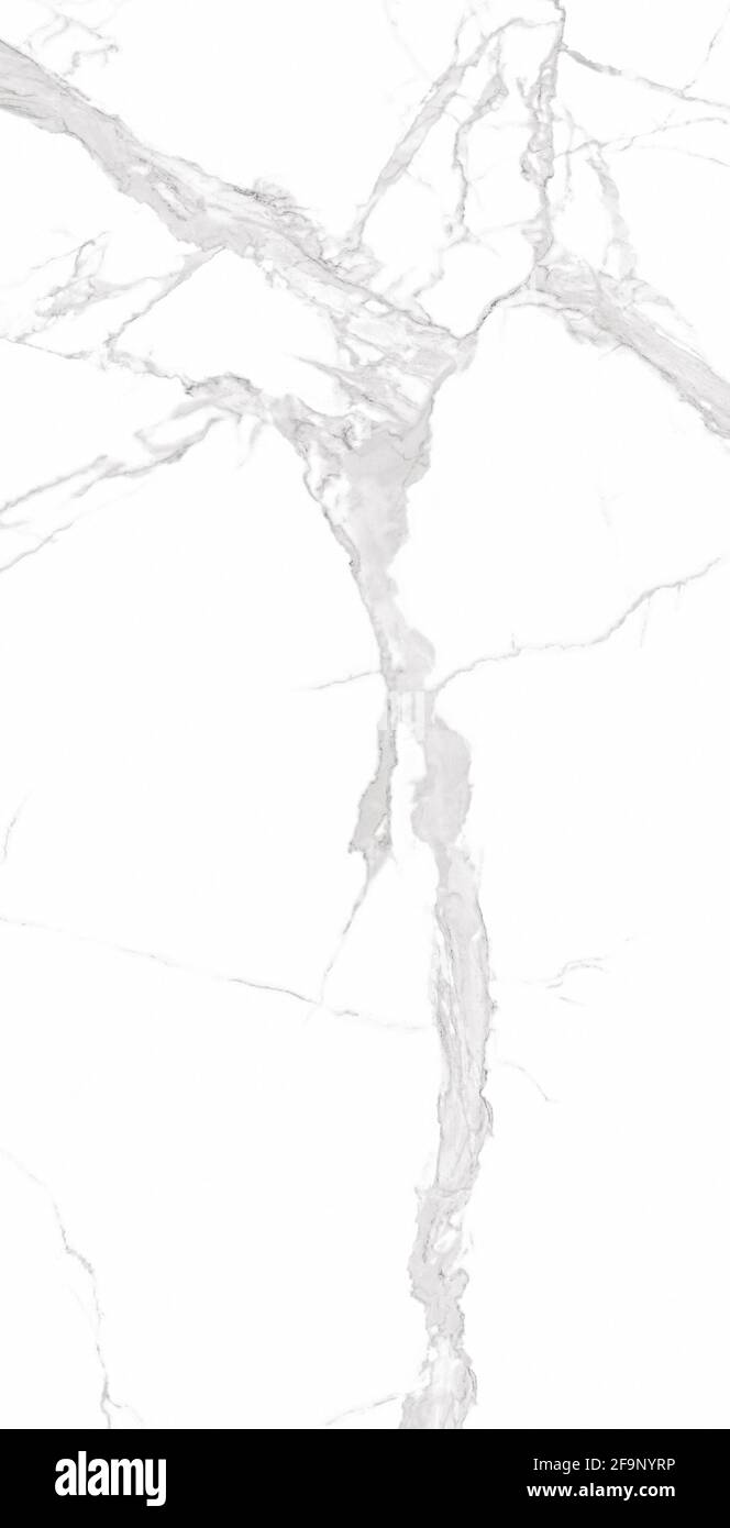 white color base with dark veins gloss finish Statuario marble design ...