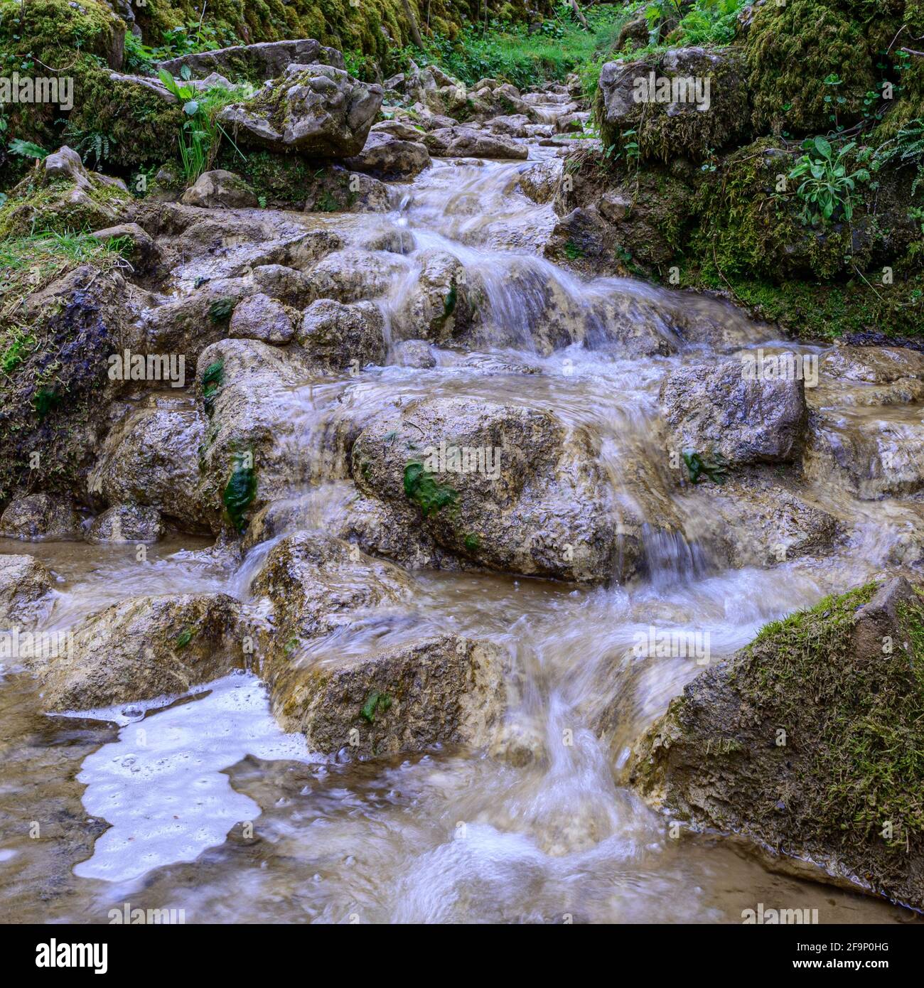 Cascading water in a stream on a steep hillside Stock Photo - Alamy