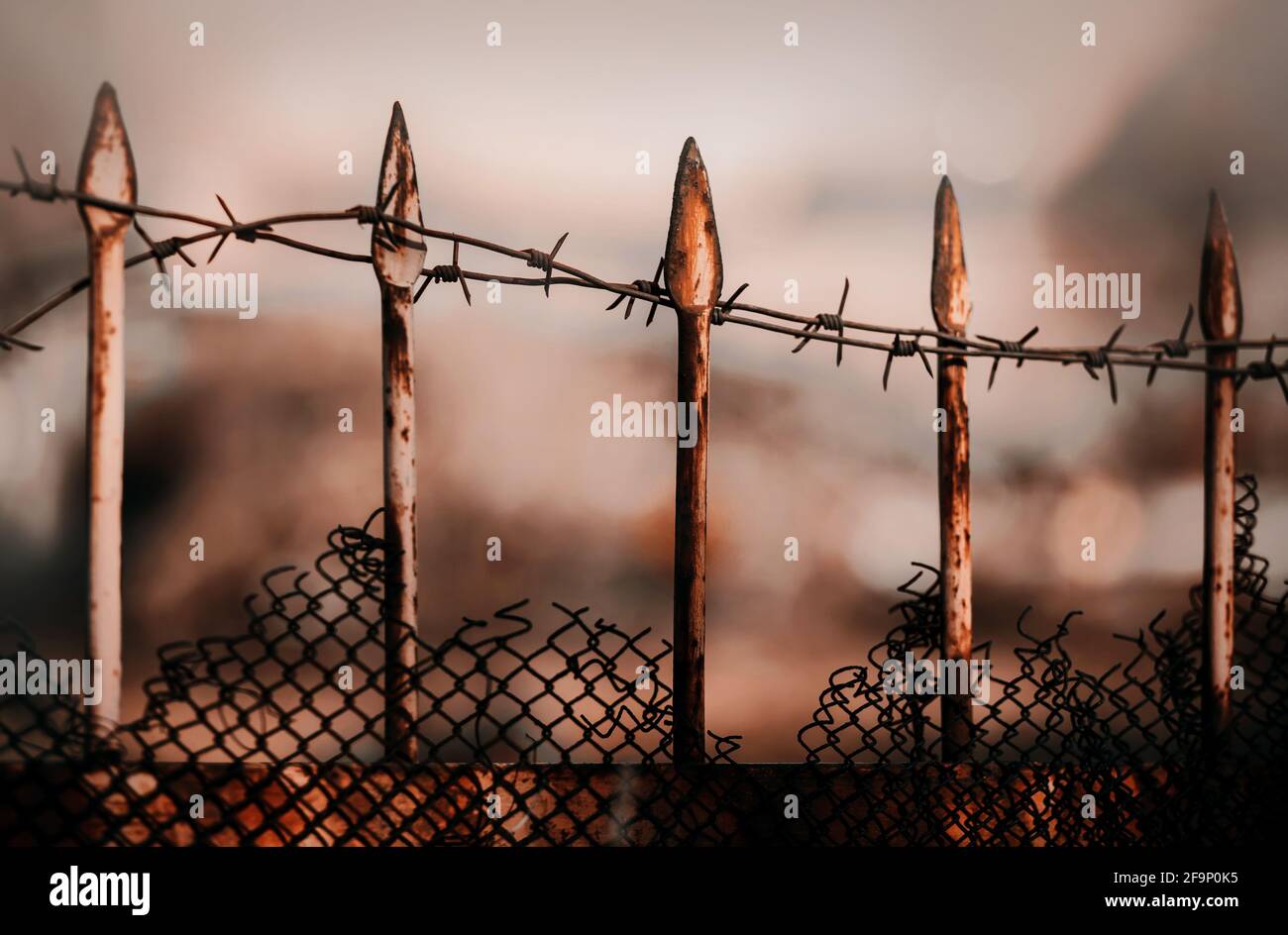 Thin wire fence hi-res stock photography and images - Alamy