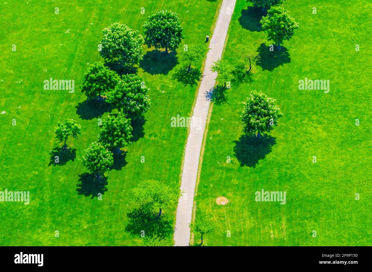 aerial view of a green alley with a narrow path in center Stock Photo ...