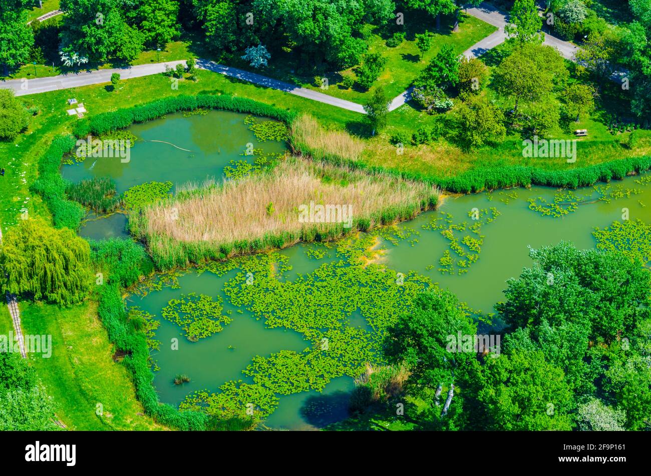 aerial view of a small swamp in a park in vienna Stock Photo - Alamy
