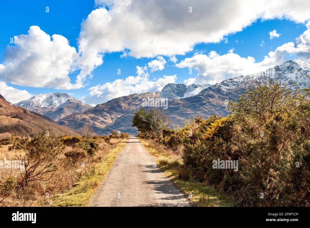 Visit West Highlands High Resolution Stock Photography and Images - Alamy