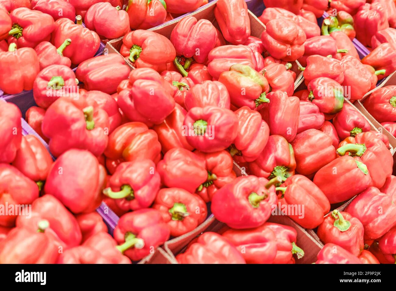 Food background red paprika on green branches, vegetables close-up ...