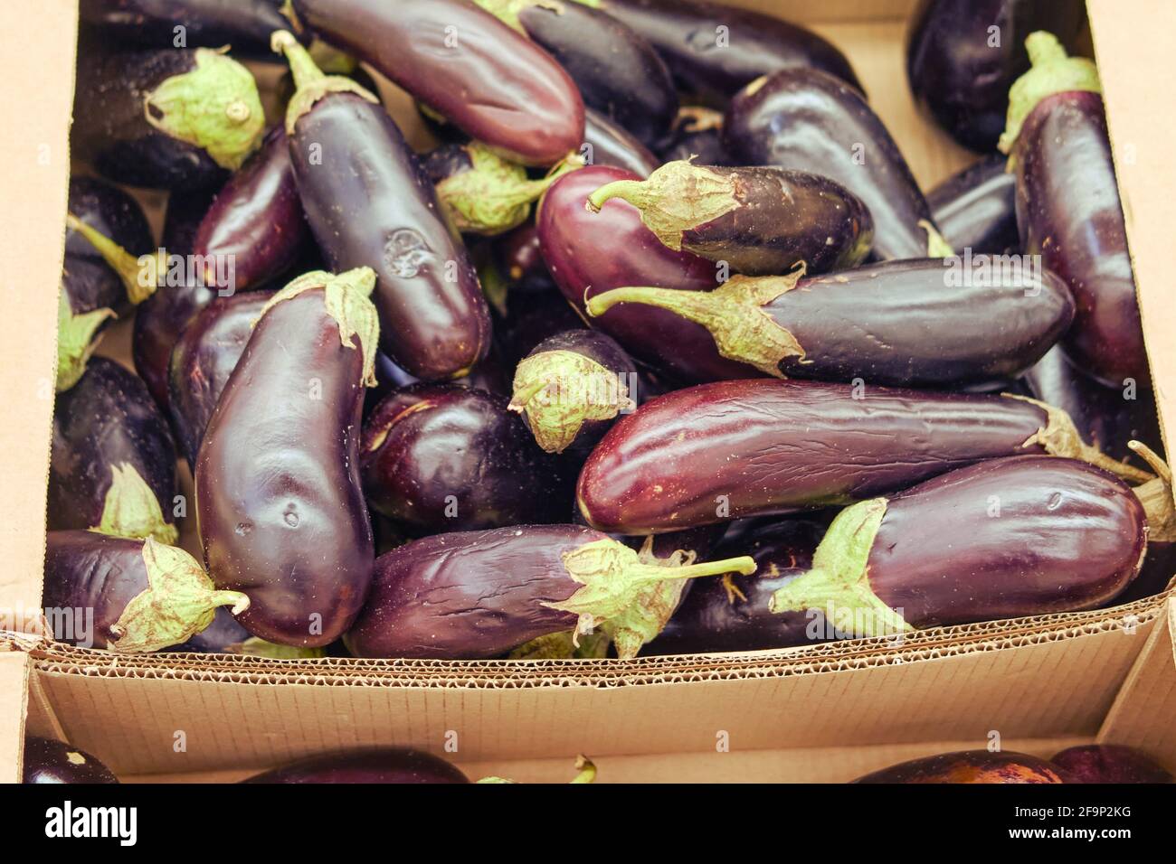 Food background stale crumpled eggplant, vegetables close-up Stock ...